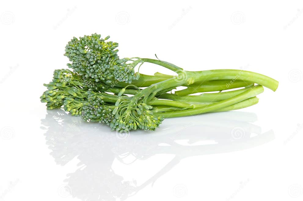 Broccolini stock photo. Image of food, broccolini, healthy - 9670554