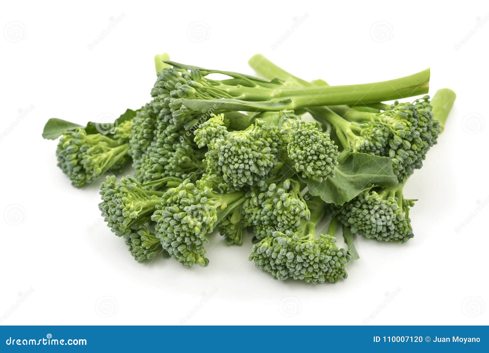 Broccolini on a White Background Stock Photo - Image of horizontal ...