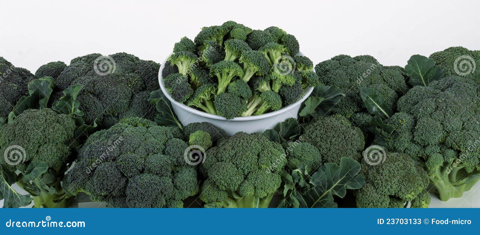Broccolis stock image. Image of salad, produce, vegetable - 23703133