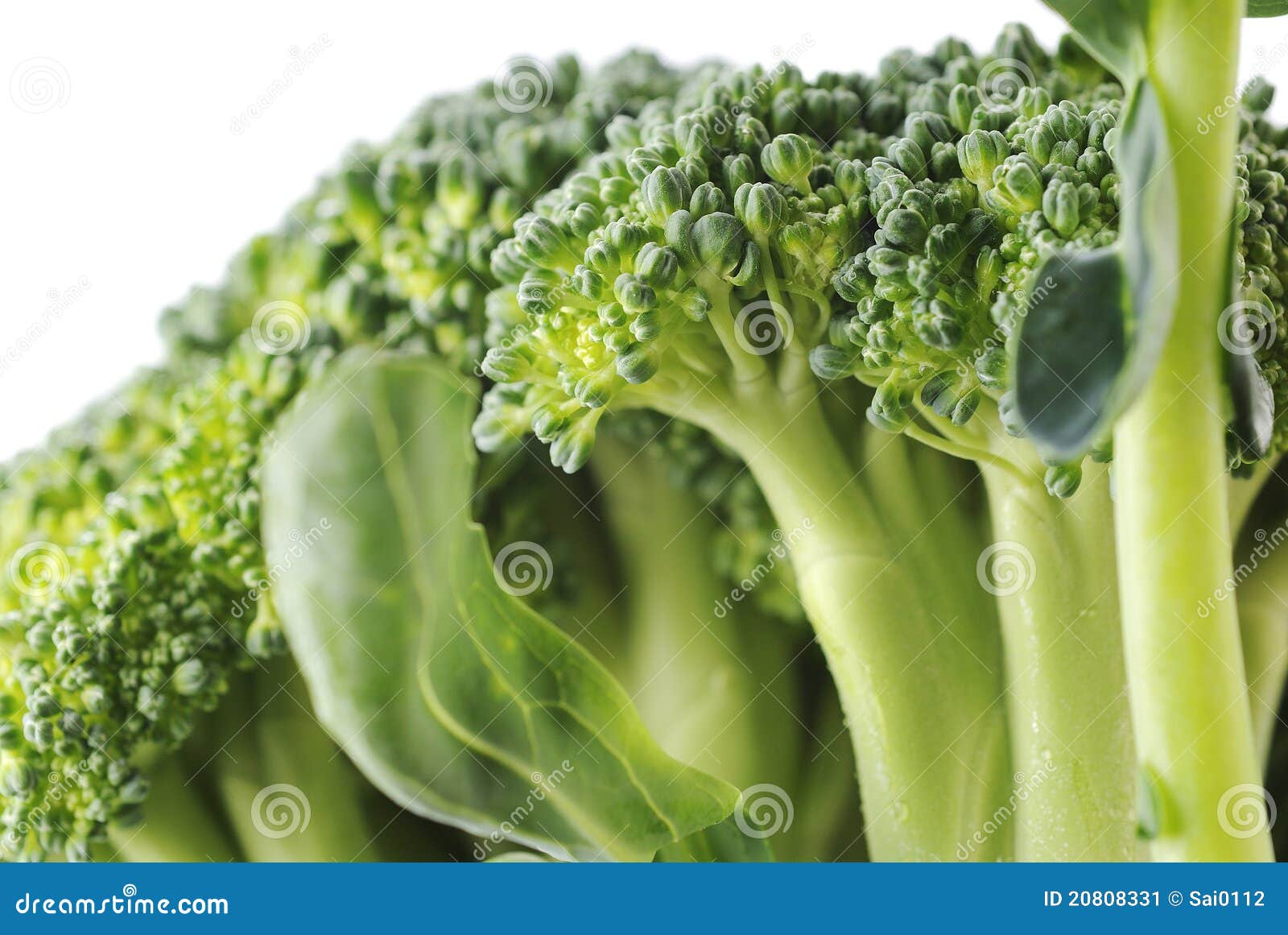 Broccoll stock image. Image of gourmet, ingredient, nutrient - 20808331