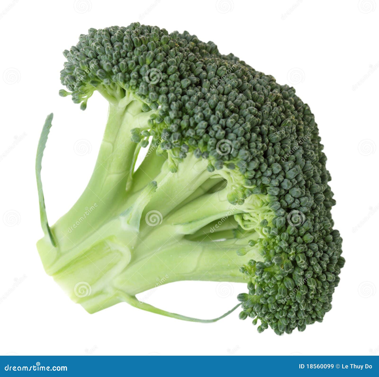 Broccolo immagine stock. Immagine di verde, sfondo, freschezza - 18560099