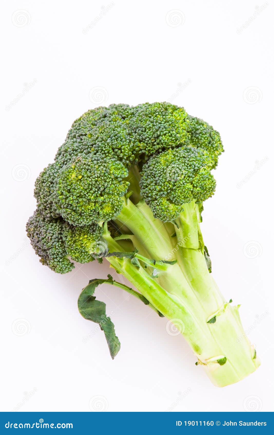 Broccolo fotografia stock. Immagine di bianco, verdura - 19011160