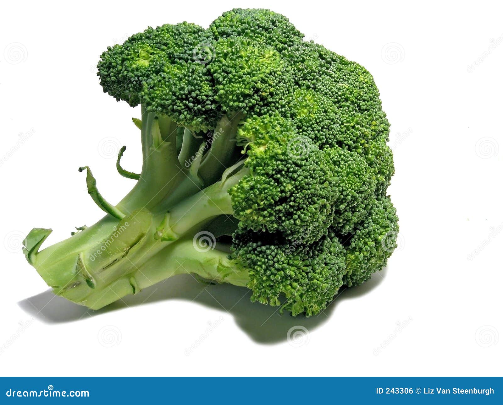 Broccolo fotografia stock. Immagine di verdura, verde, testa - 243306