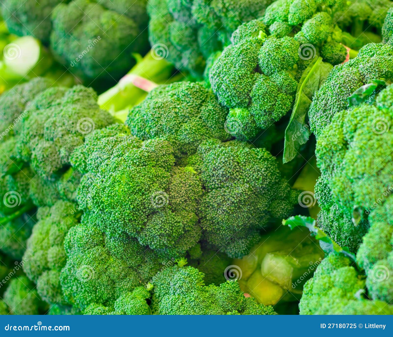 Broccolo immagine stock. Immagine di mazzo, colorato - 27180725