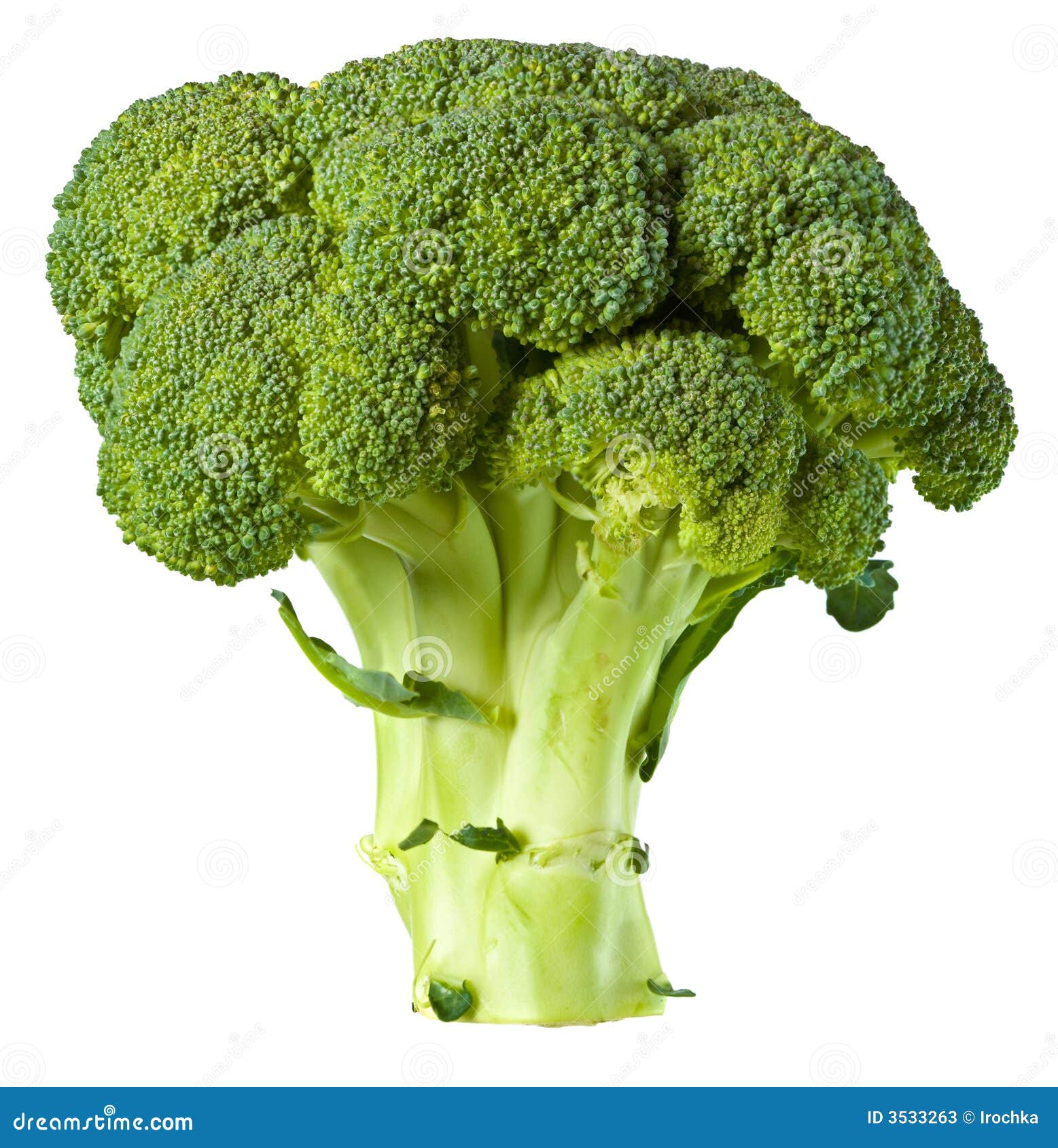 Broccolo immagine stock. Immagine di sfondo, vibrante - 3533263