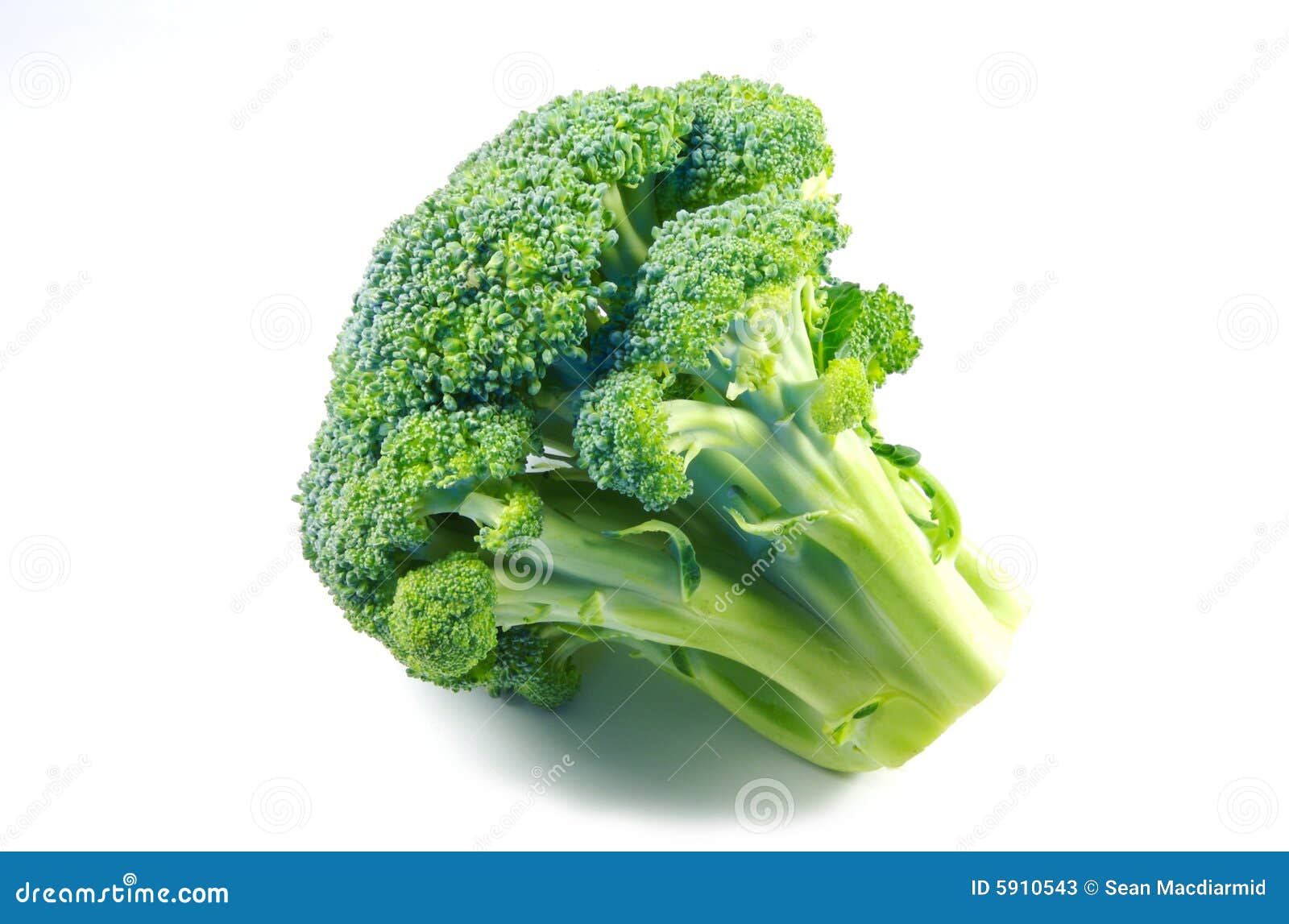 Broccolo immagine stock. Immagine di bollire, stufa, lato - 5910543