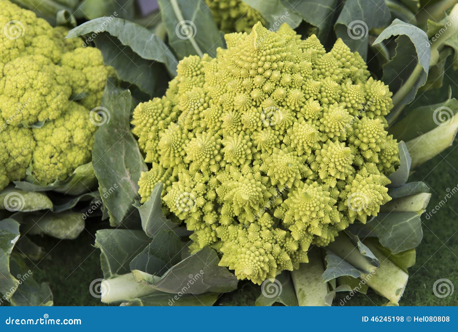 Broccolo di Romanesco fotografia stock. Immagine di agricoltura - 46245198