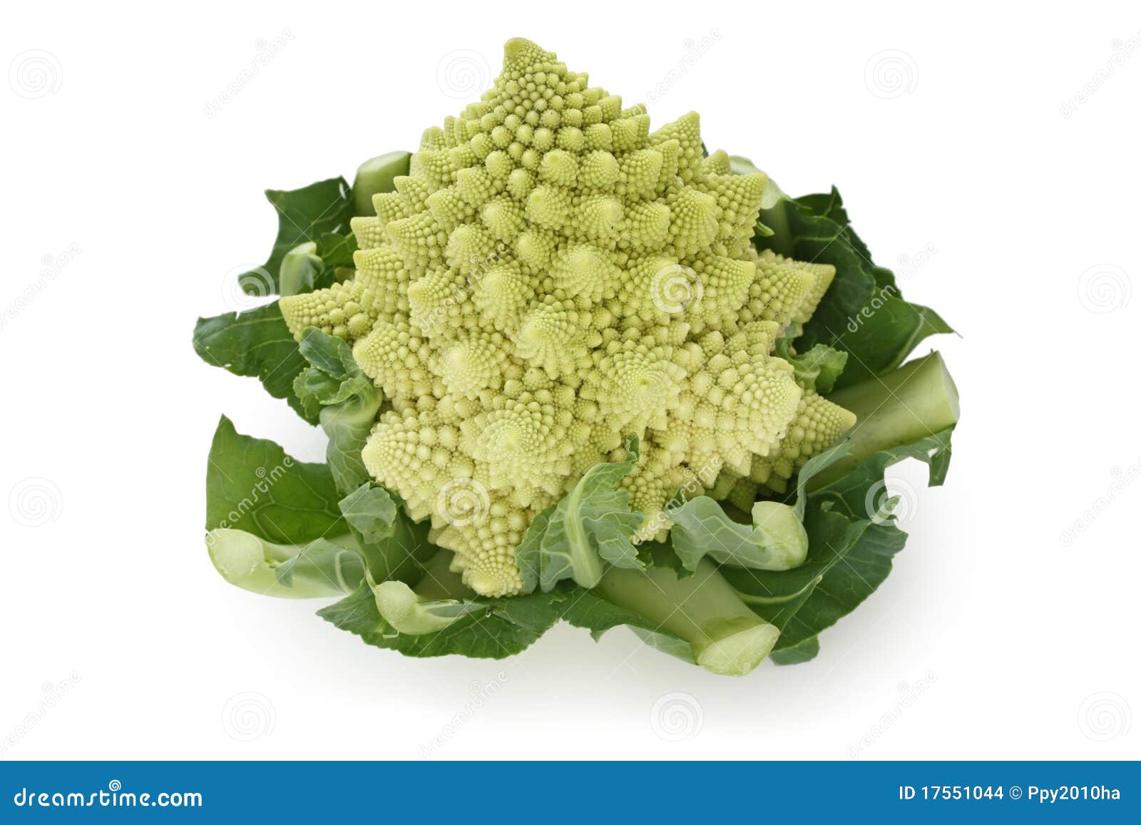 Broccolo Di Romanesco, Cavolfiore Romano Fotografia Stock - Immagine di ...