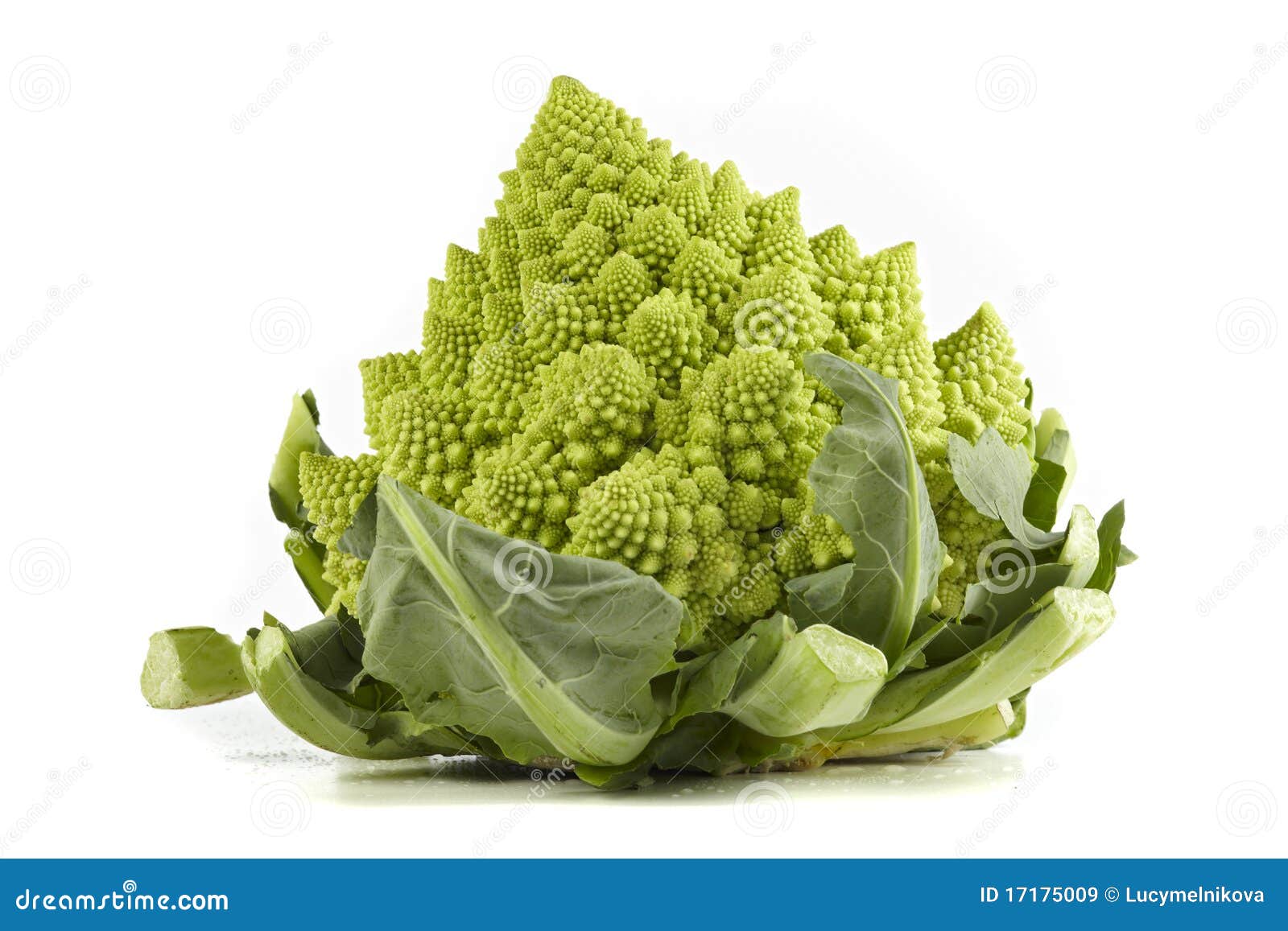 Broccolo romano immagine stock. Immagine di bianco, cavolo - 17175009