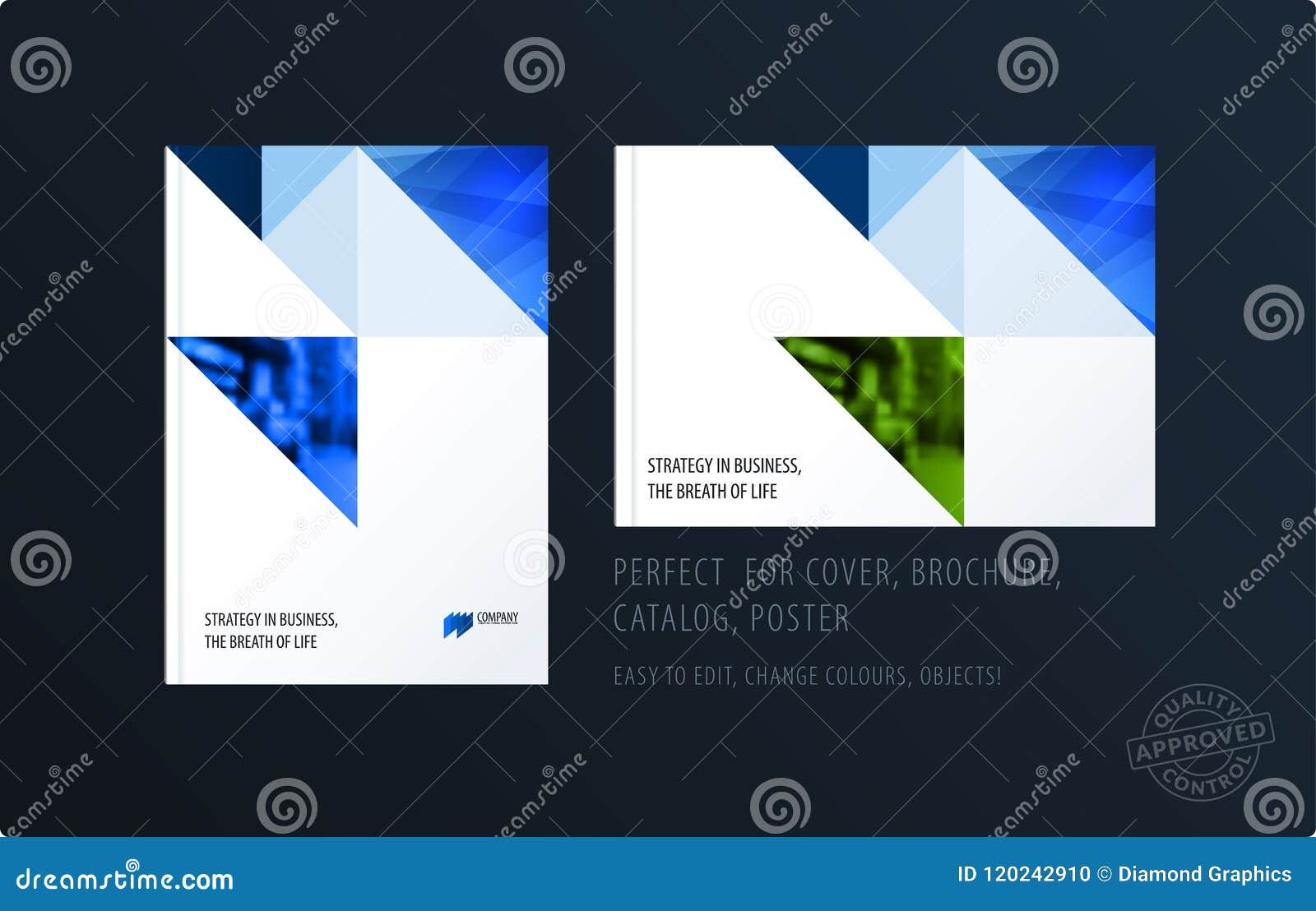 Brochure Design Triangular Template. Colourful Modern Abstract Set ...