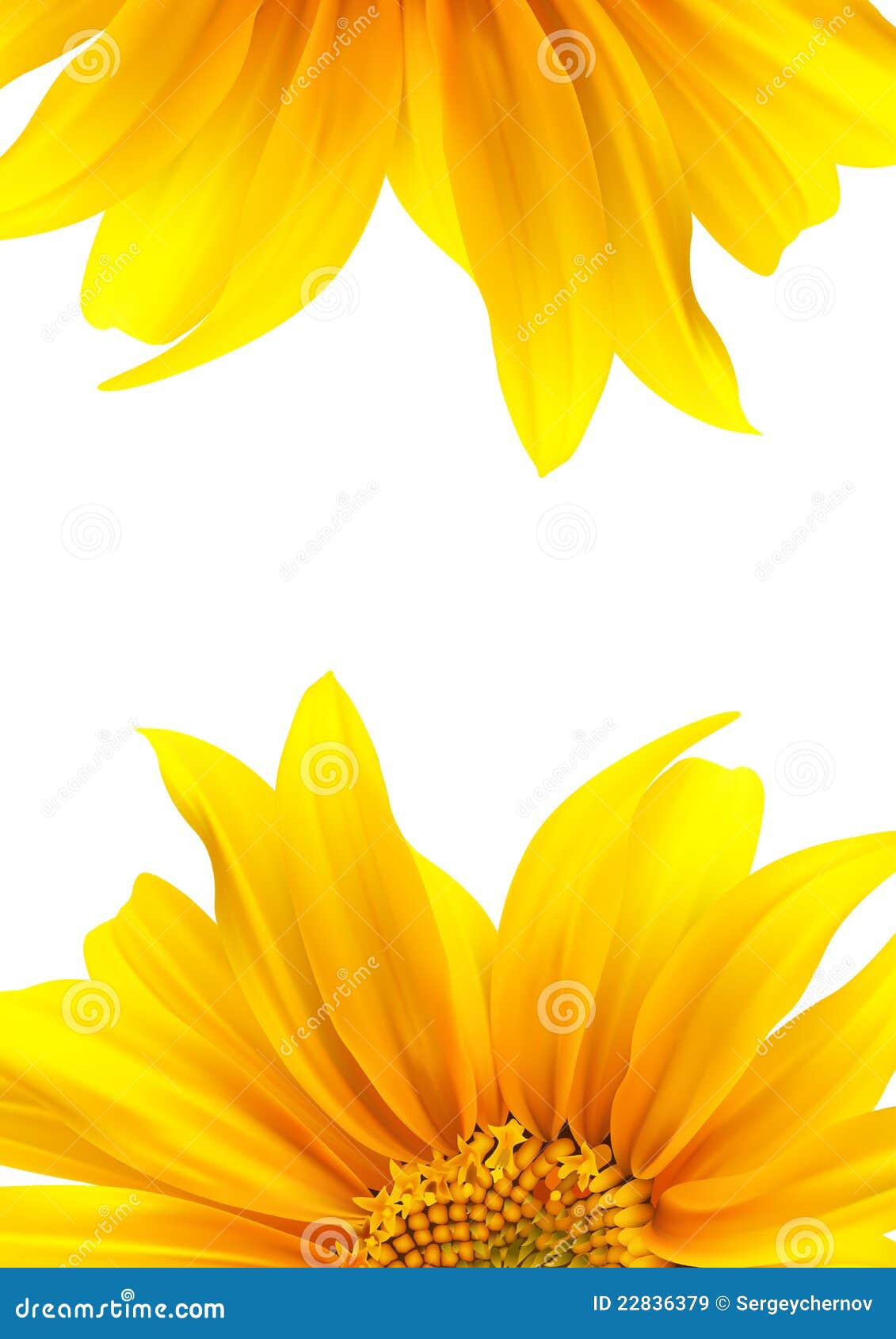 Brochure Layout Flower Design Stock Vector - Illustration of cover ...