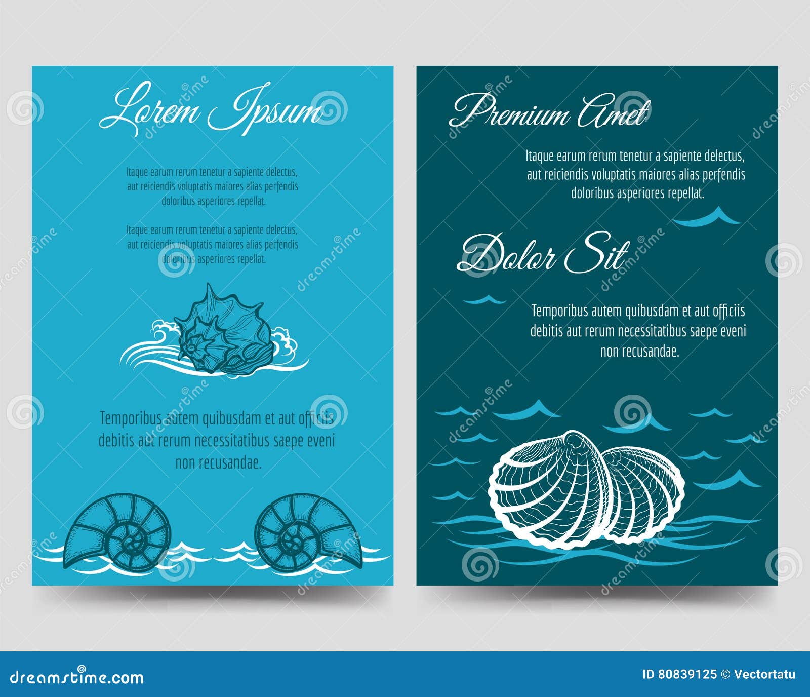 Brochure Template Flyers with Sea Shells Stock Vector - Illustration of ...