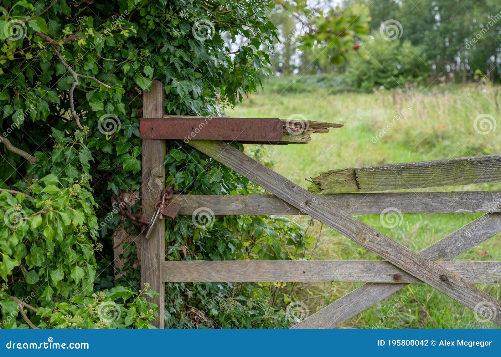 Brocken Wooden Gate with Padlock Stock Photo - Image of nature, lovers ...