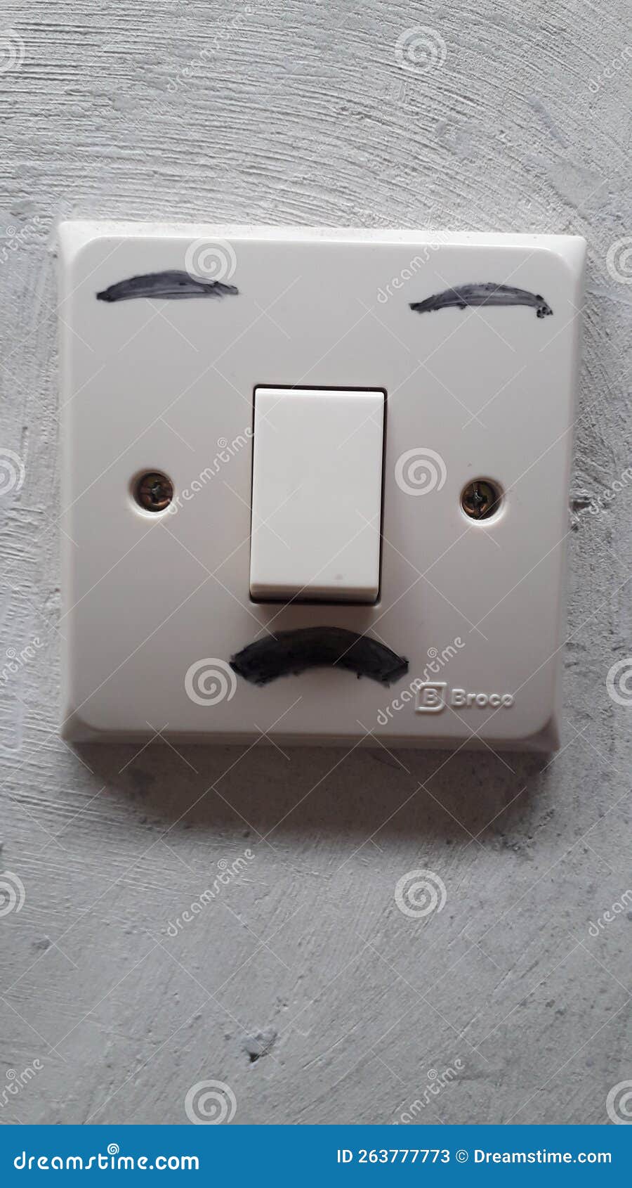 Broco the Switch that Look Sad Editorial Stock Photo - Image of broco ...