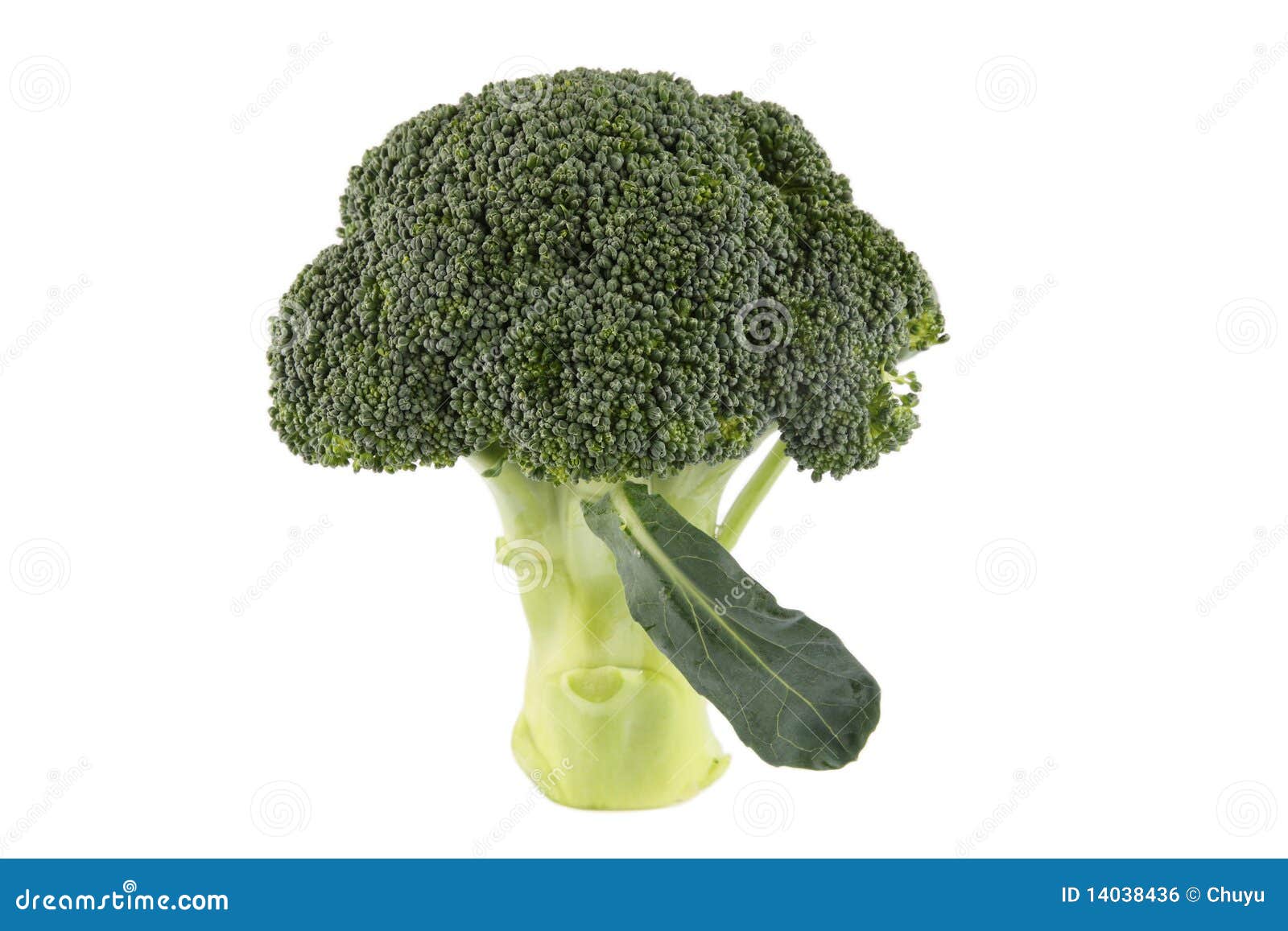 Brocoli foto de archivo. Imagen de verde, alimento, cubo - 14038436