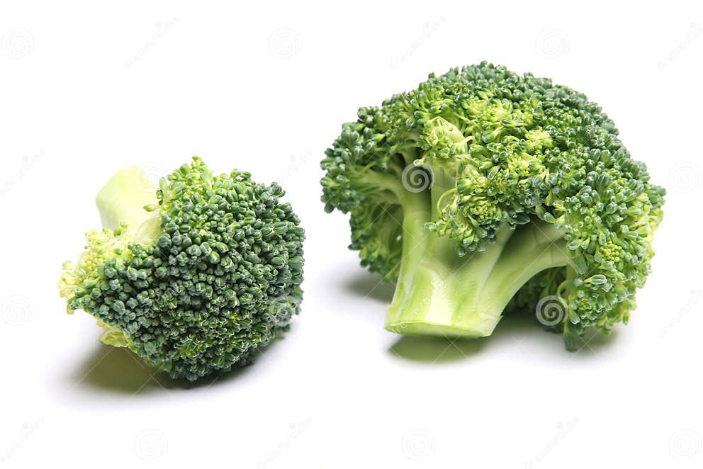 Brocolli stock image. Image of foods, green, natural, diet - 1313061