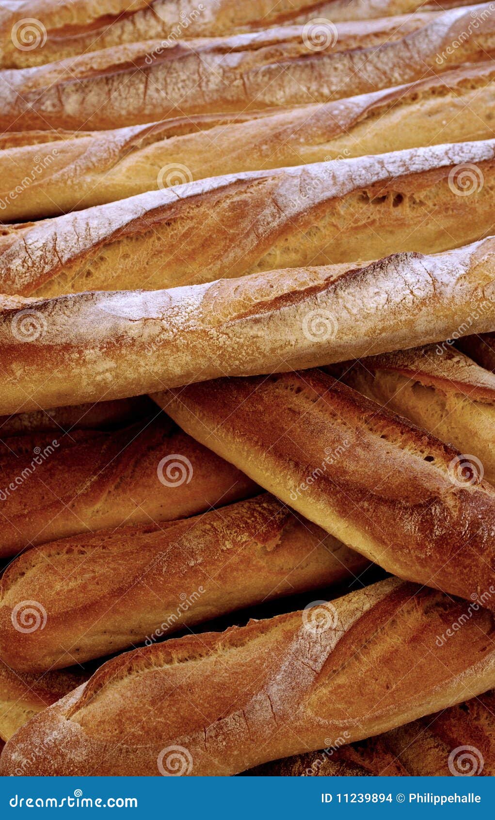 Broden stock foto. Image of winkel, bloem, opslag, verkoop - 11239894