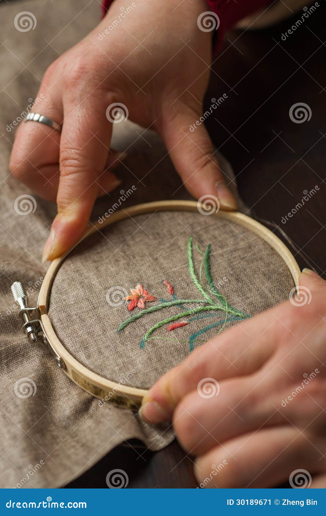 Broderie image stock. Image du blanc, brodez, toile, broderie - 30189671