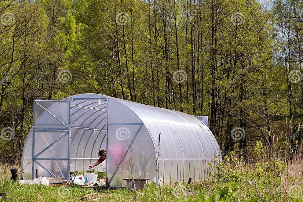 Broeikas stock afbeelding. Image of onderneming, cultureren - 5375561