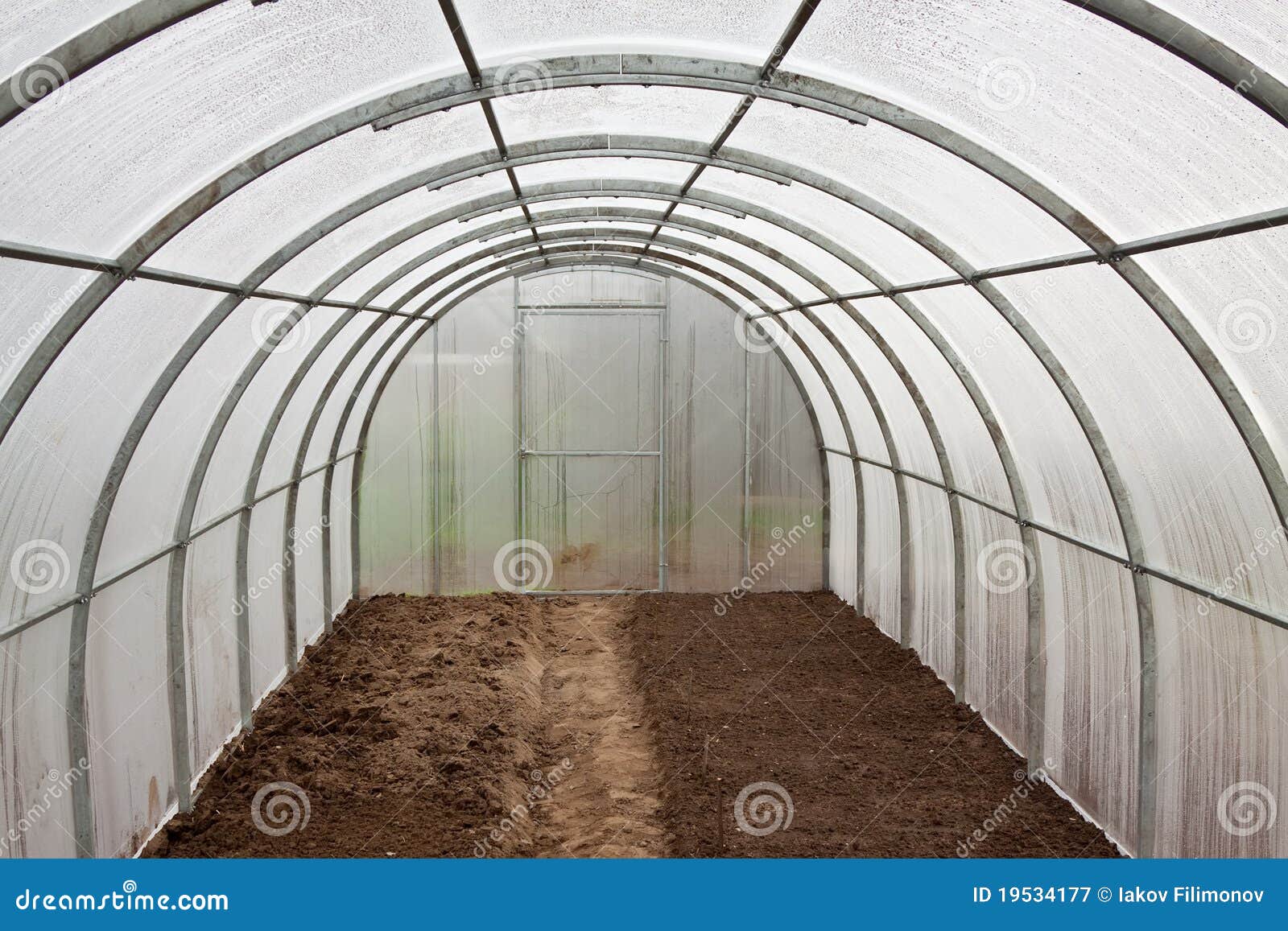 Broeikas binnen stock afbeelding. Image of landbouw, tuin - 19534177