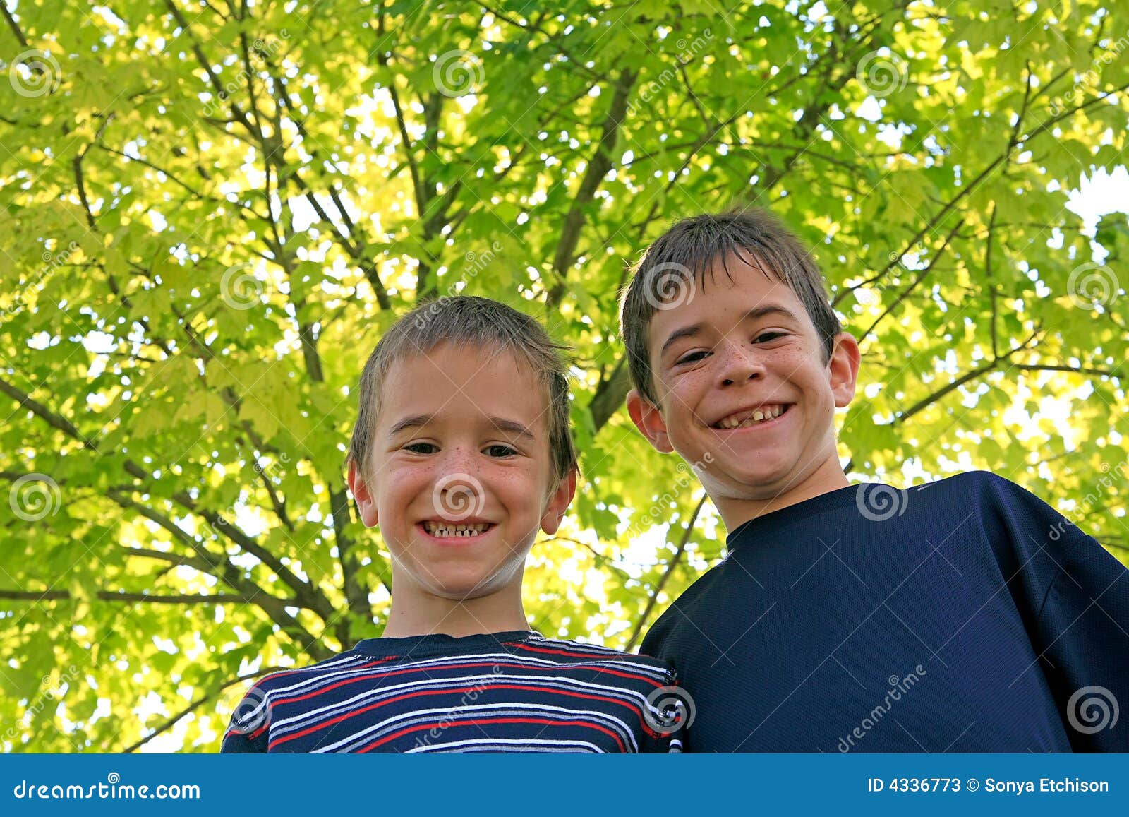 Broers Picture. Image: 4336773