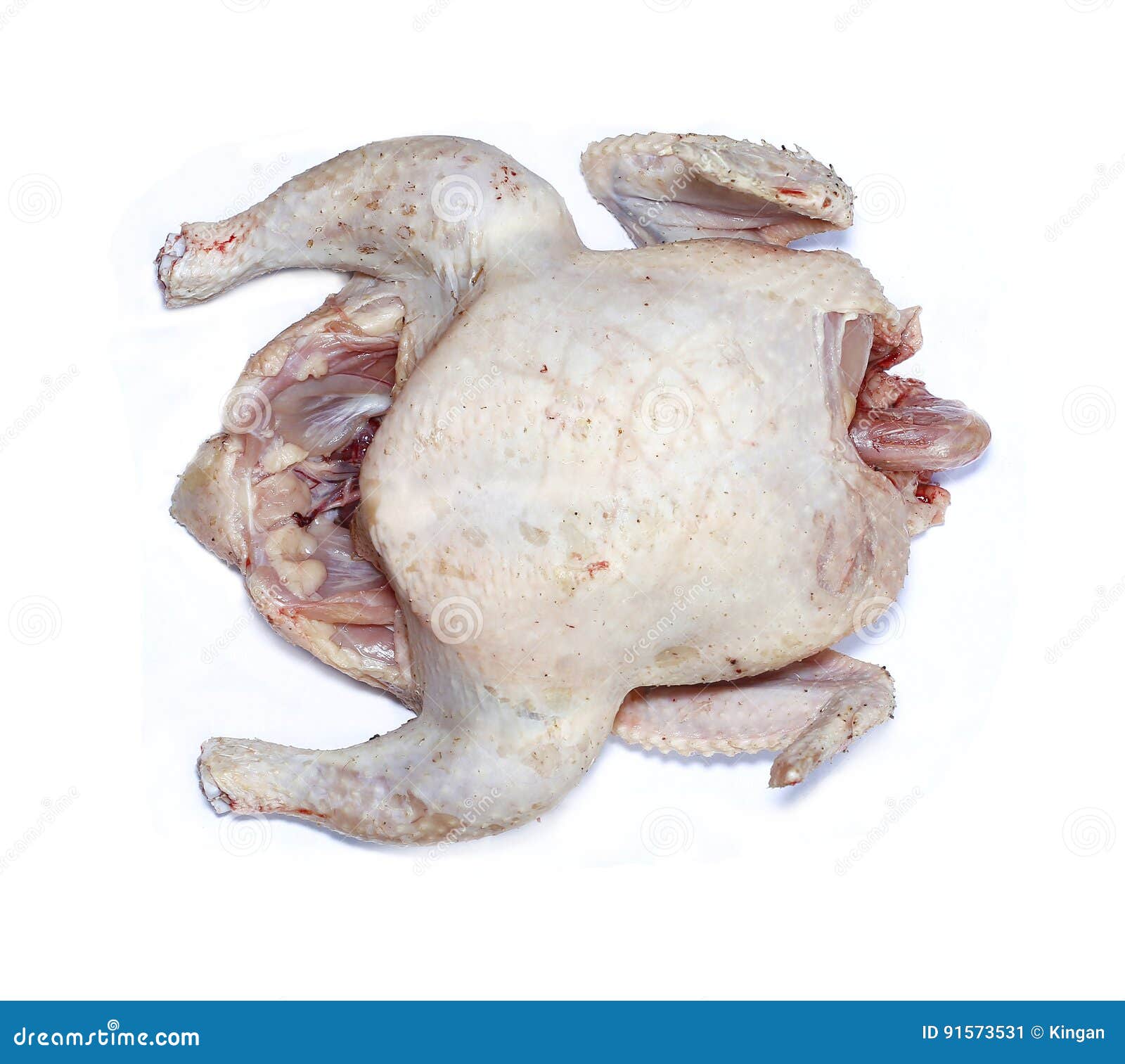 Broiler Body Fresh Gutted Isolated Stock Image - Image of isolated ...