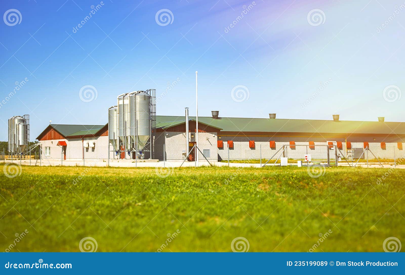 Broiler Chicken Breeding Factory Stock Image - Image of infrastructure ...