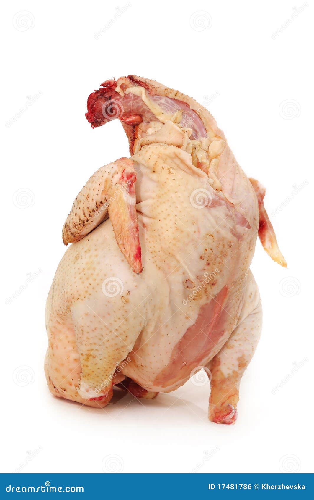 Broiler Chicken In Cage At Local Butcher Shop At India Stock ...
