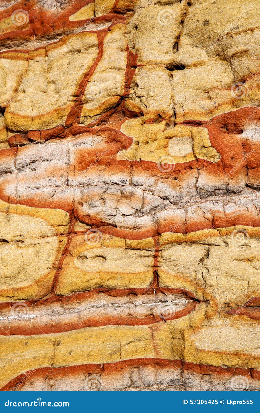 A broke stone and lichens stock image. Image of canarias - 57305425