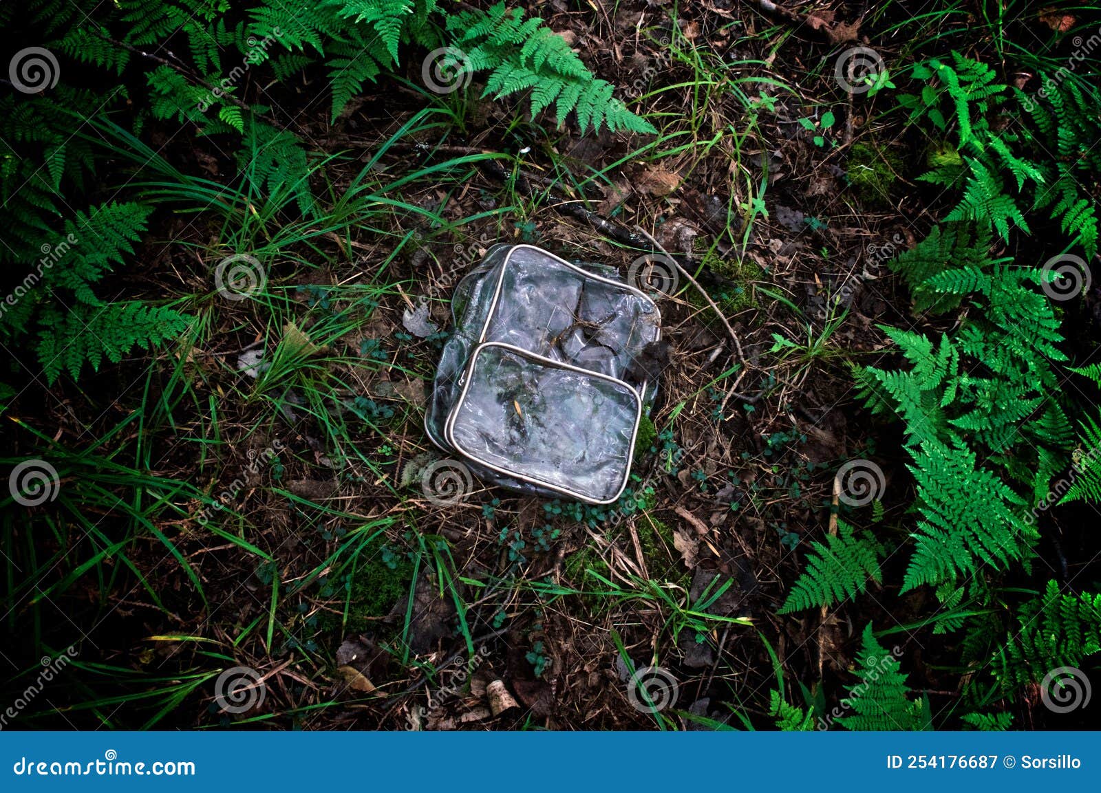 Broken Abandoned Back Pack on Ground in Woods Stock Image - Image of ...