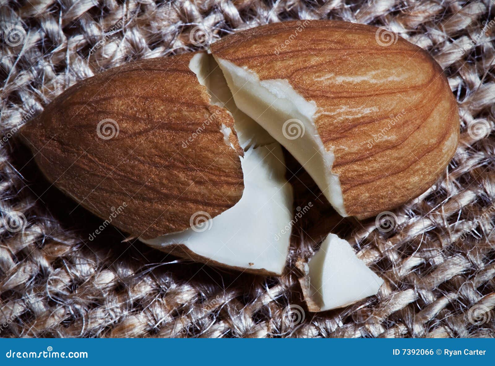 Broken Almond stock photo. Image of break, nature, damaged - 7392066