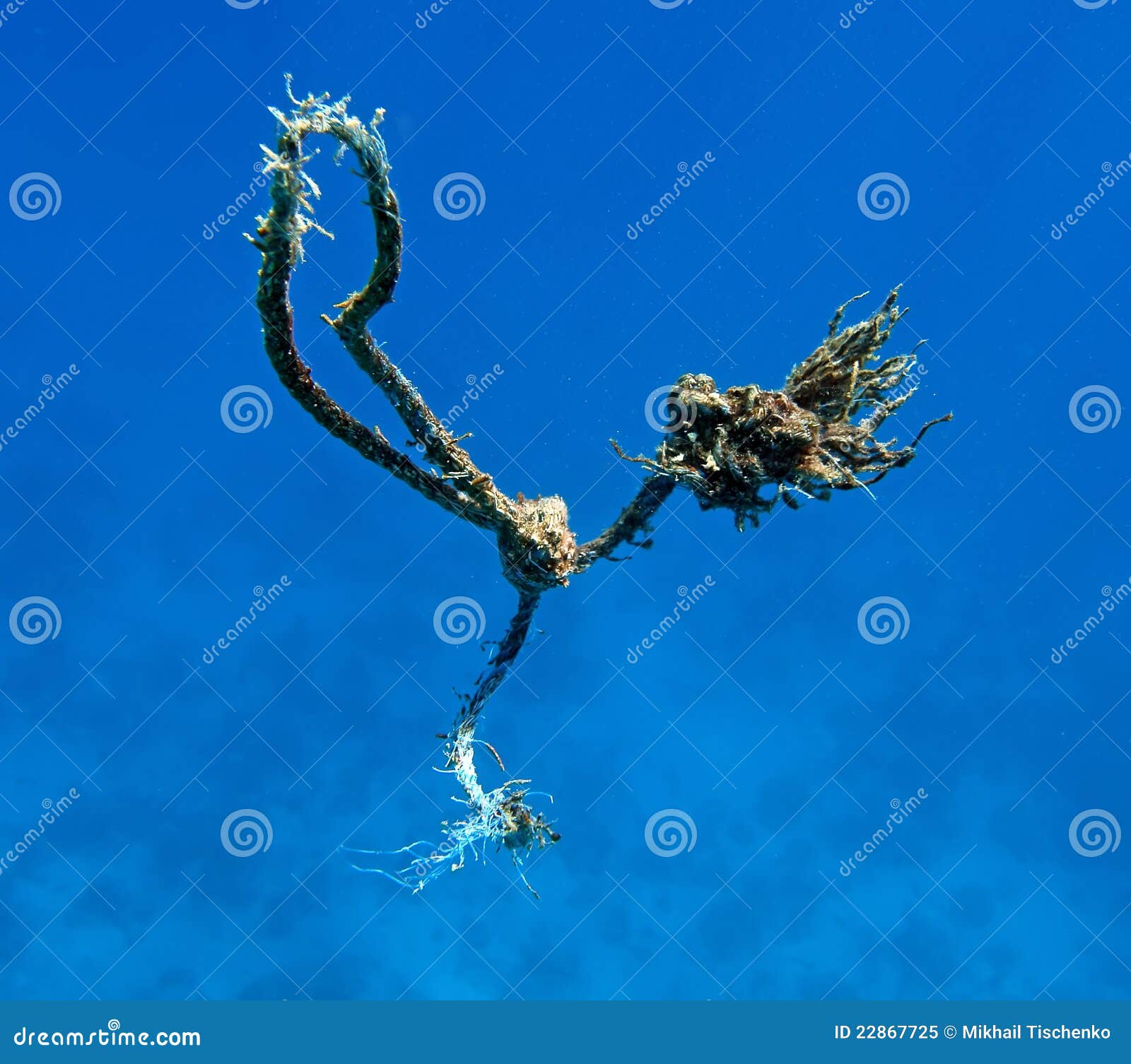 Broken anchor line stock image. Image of marine, cruise - 22867725