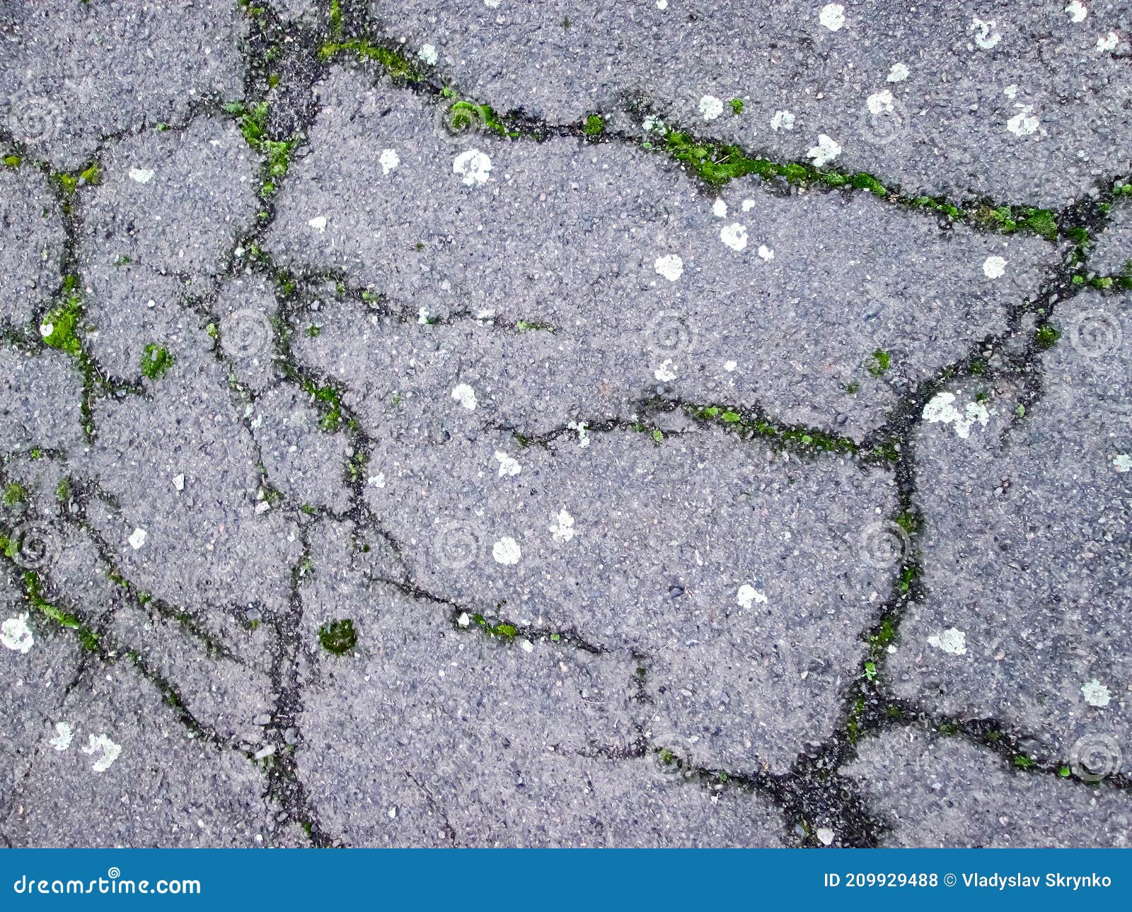 Broken Asphalt with Sprouted Grass. Stock Photo - Image of development ...