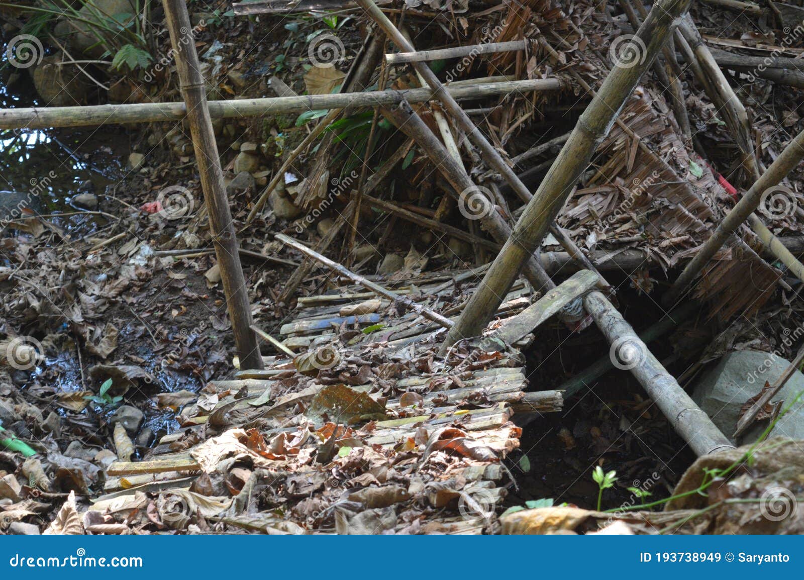 Broken Bamboo Bridge. the Bridge Made by Bamboo Stock Image - Image of ...