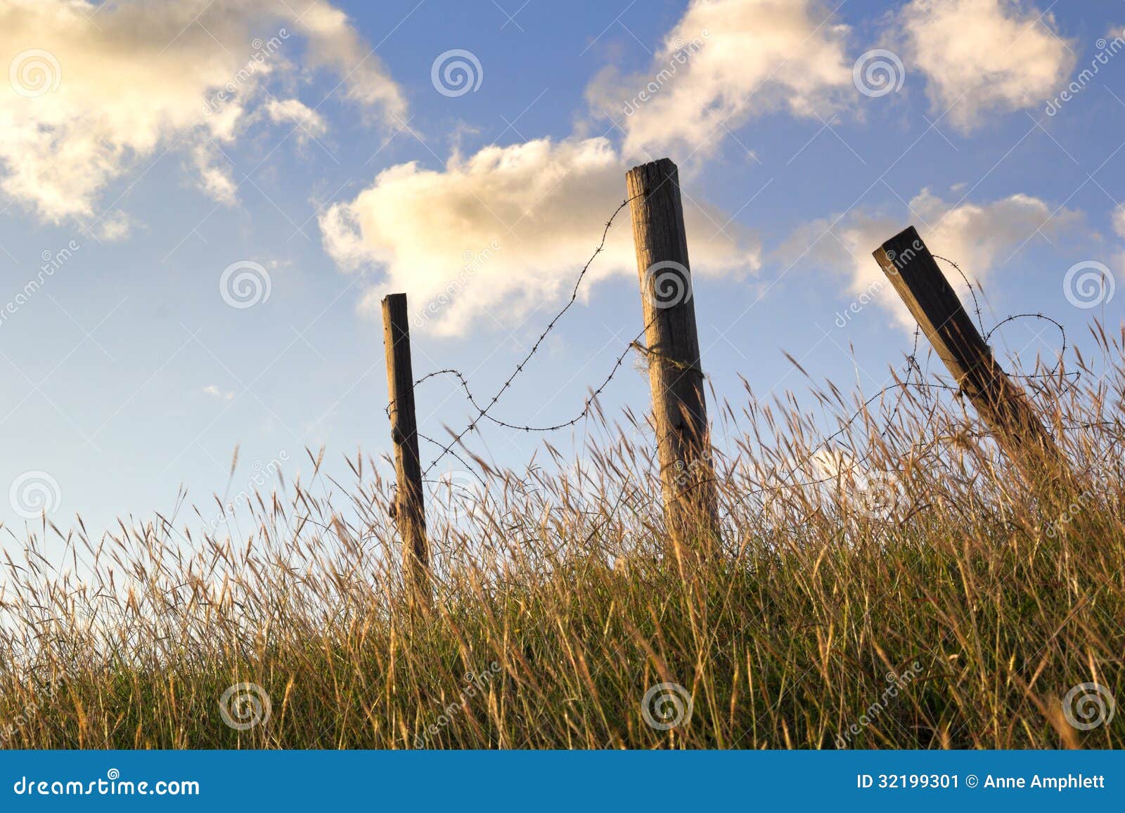 Wire Fence Texture Stock Photography | CartoonDealer.com #35773742