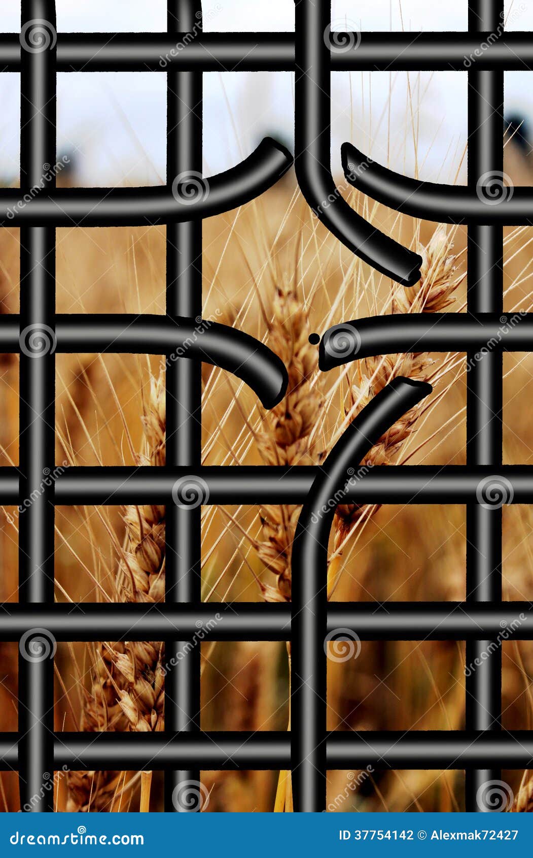 Broken Bars Of Black, White And Milk Chocolate With Nuts And Ripe ...