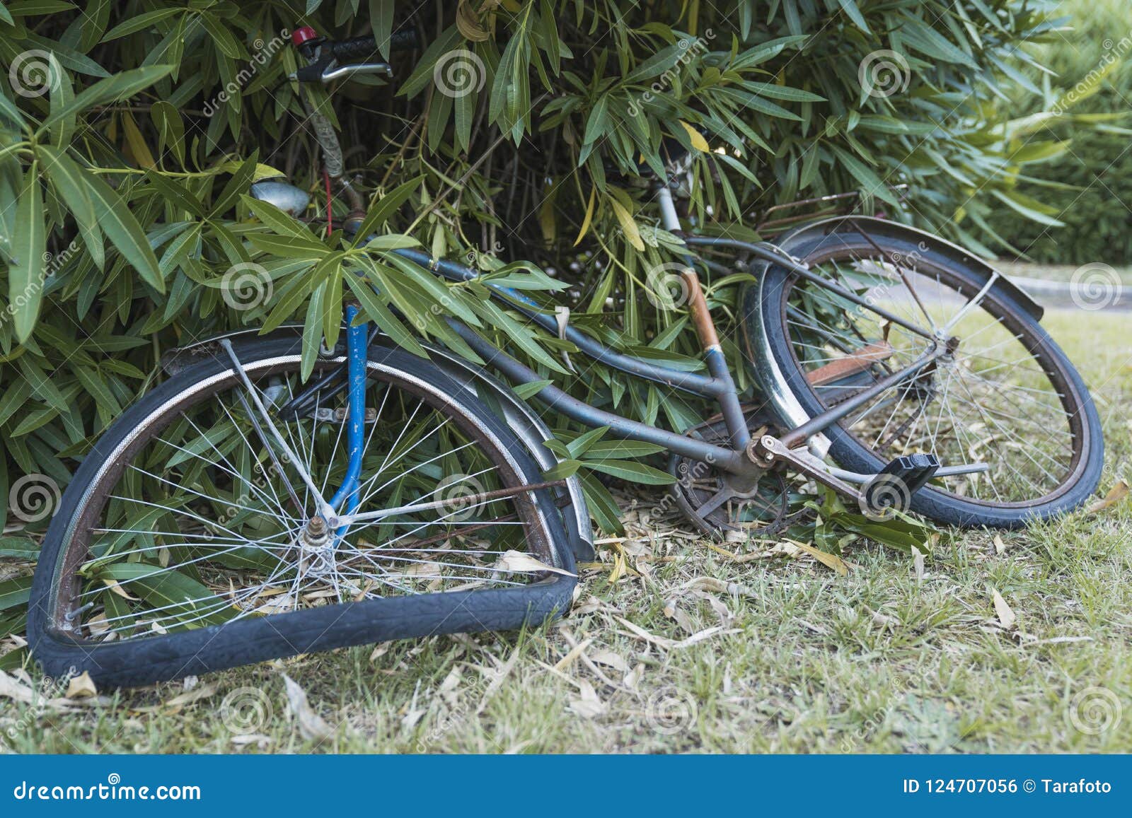 Broken bike in a park stock photo. Image of metal, antique - 124707056