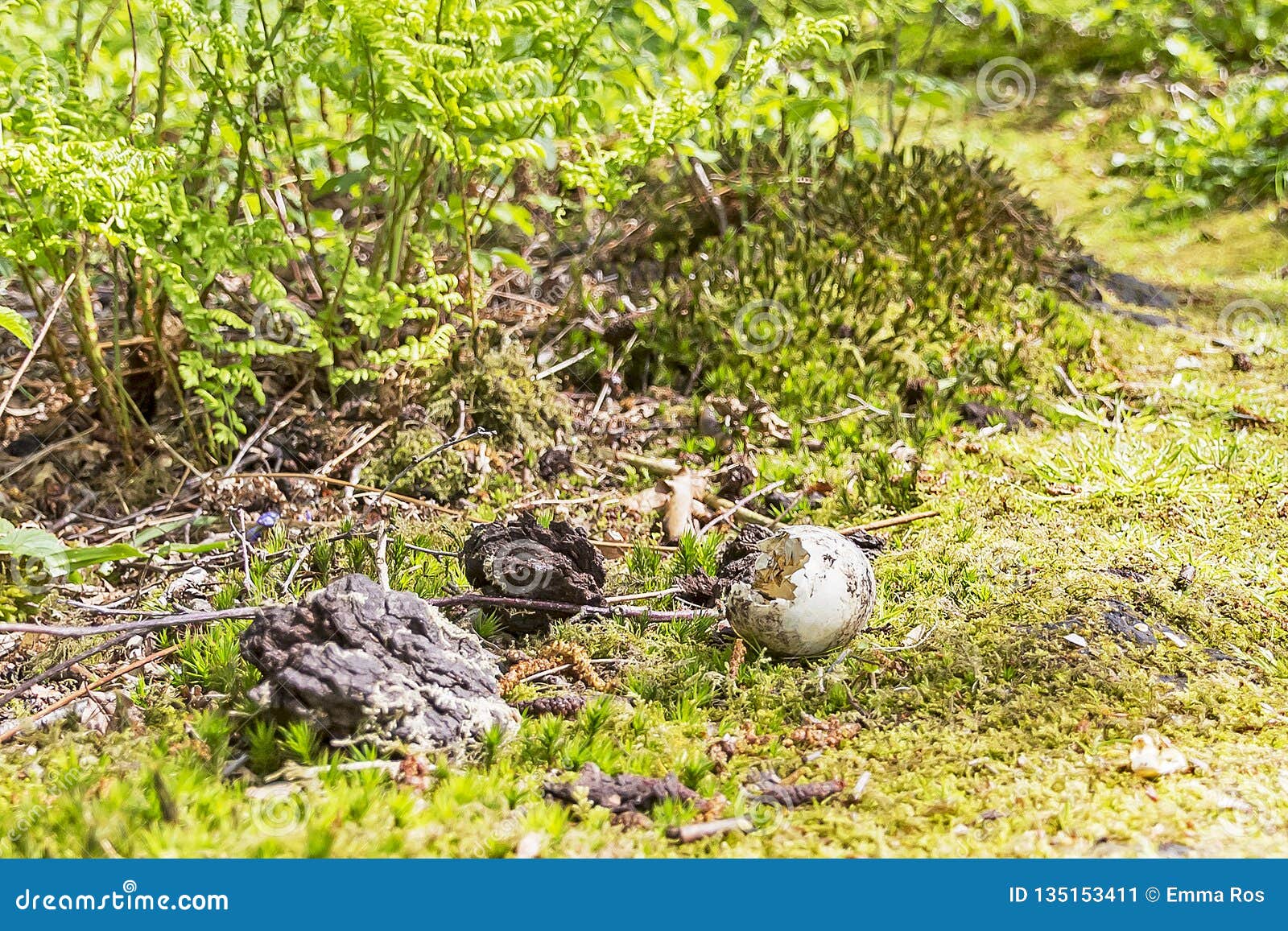 Broken Bird And Bird Bath Sculpture Royalty-Free Stock Image ...