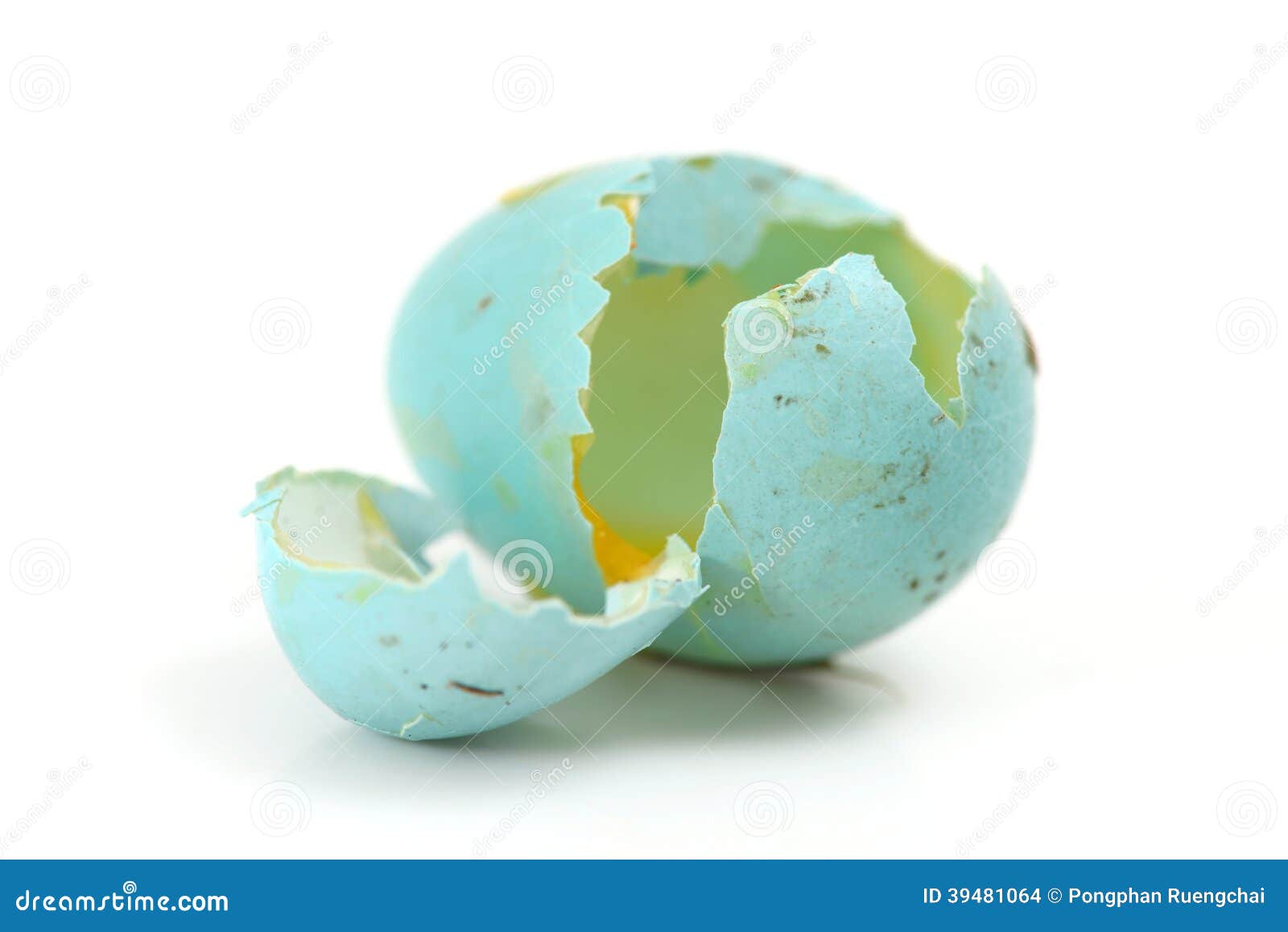 Blue Eggs In The Nest Stock Image | CartoonDealer.com #52200979
