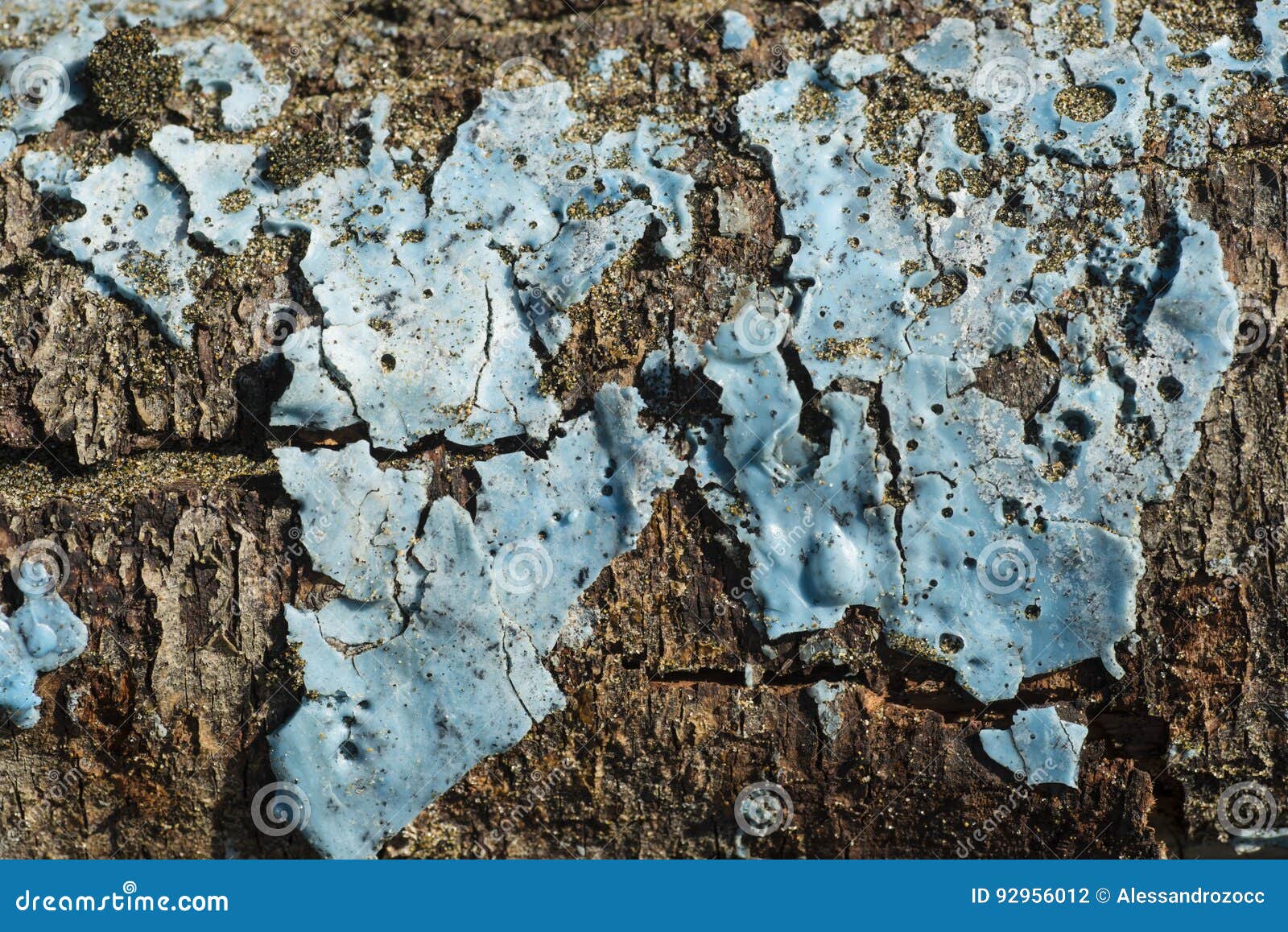 Broken blue paint layer stock photo. Image of texture - 92956012