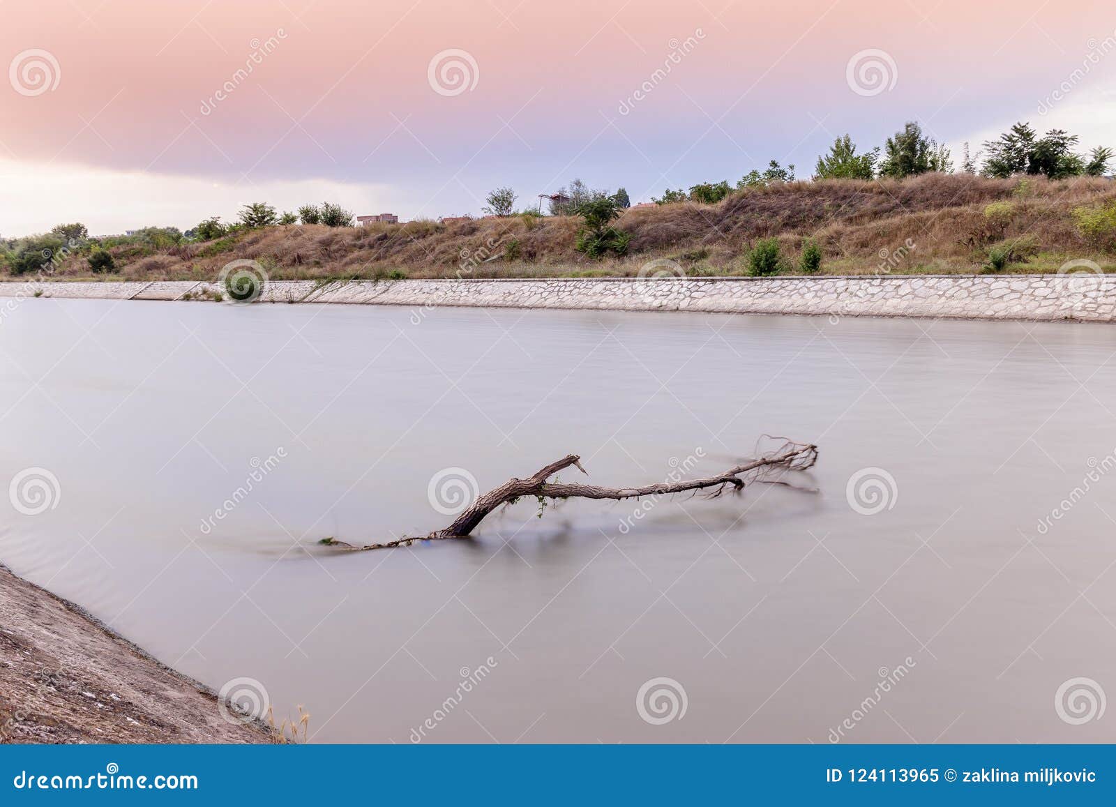 Broken Branch Floating in the River Stock Image - Image of trees ...