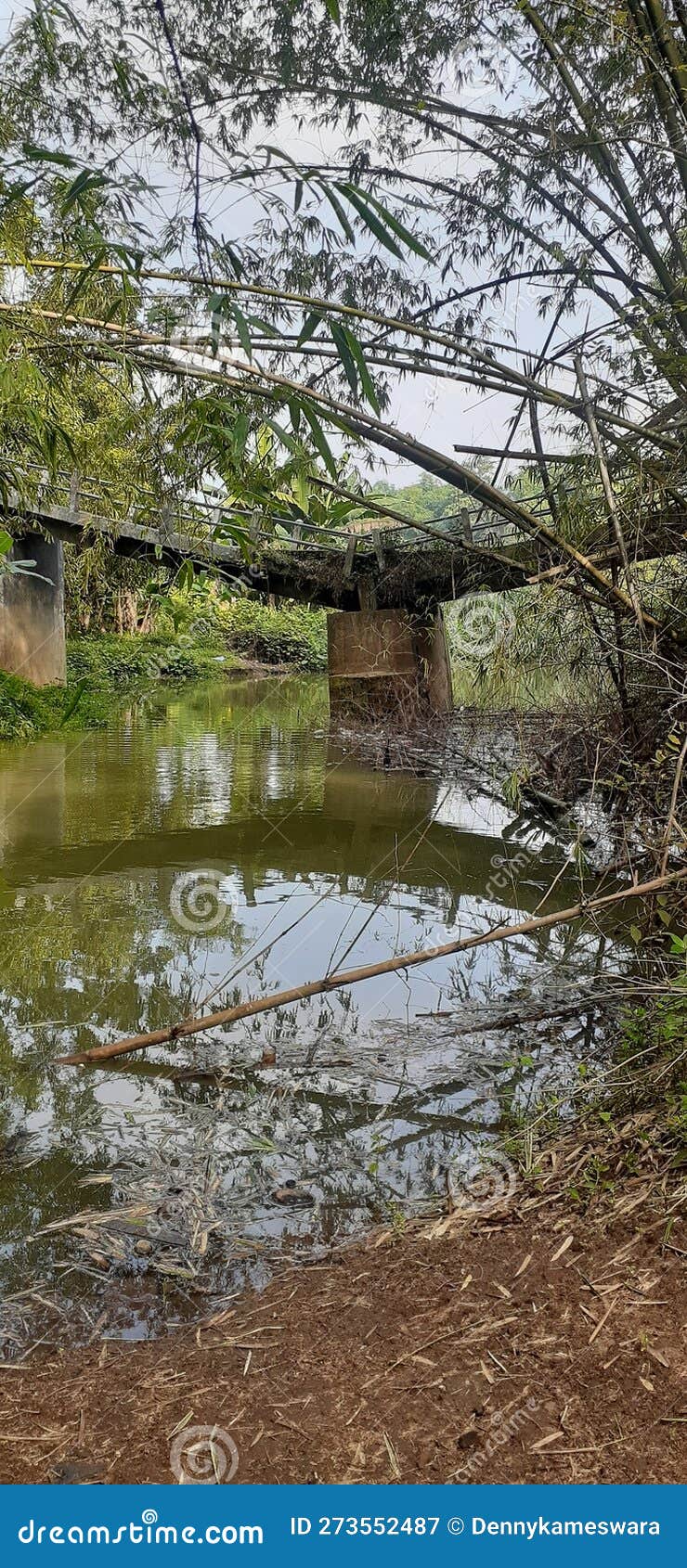 Broken Bridge in Countryside Stock Image - Image of jungle, water ...