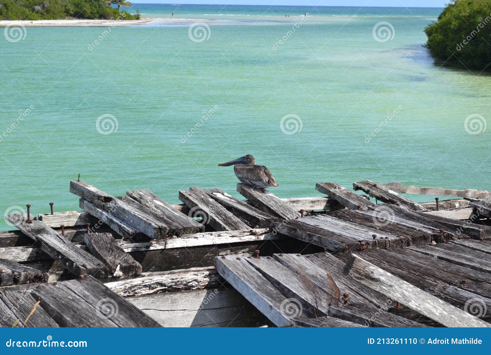 Broken Bridge in Mexico, Tulum Stock Photo - Image of bridge, nature ...