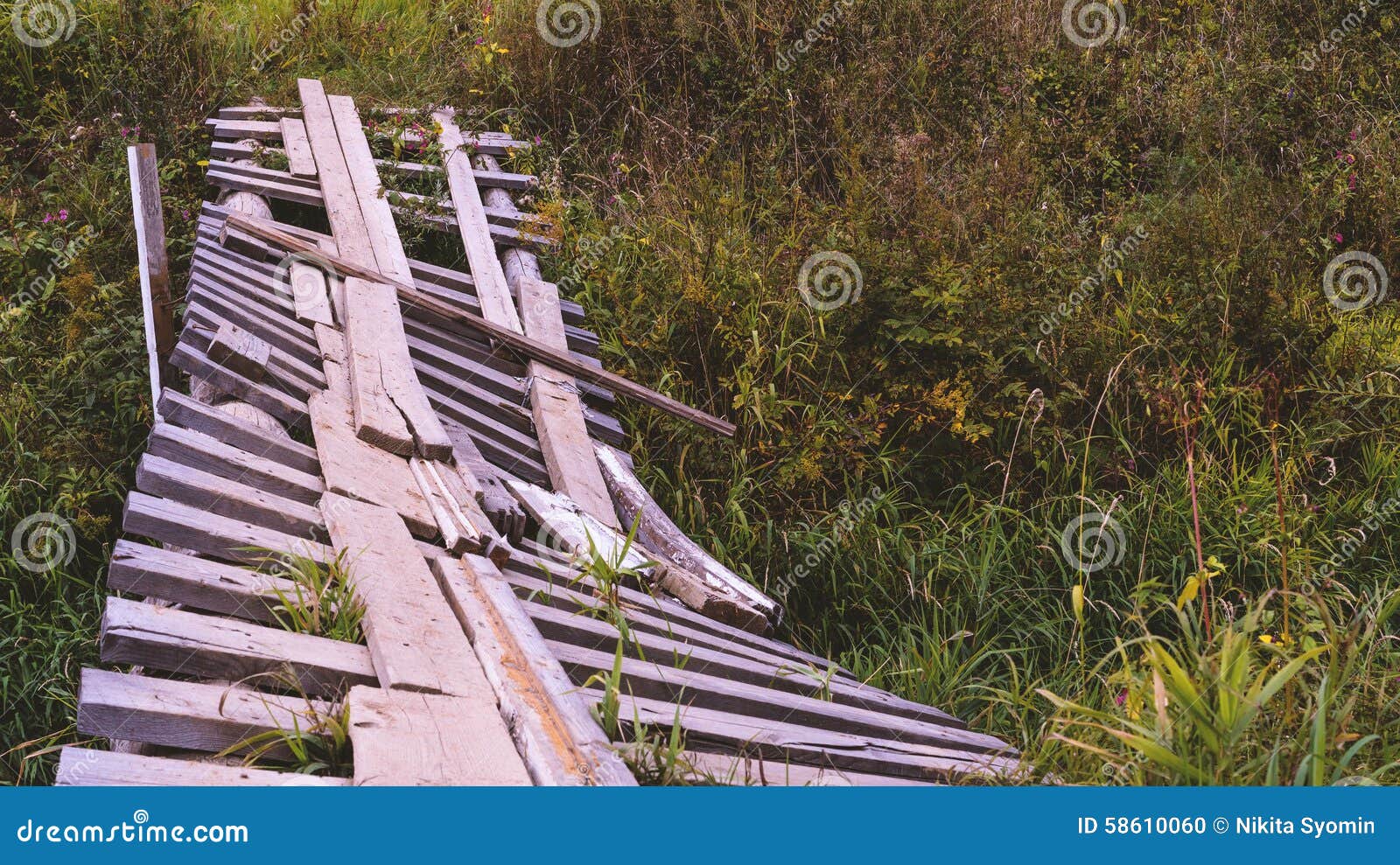 Broken bridge stock photo. Image of green, falling, summer - 58610060