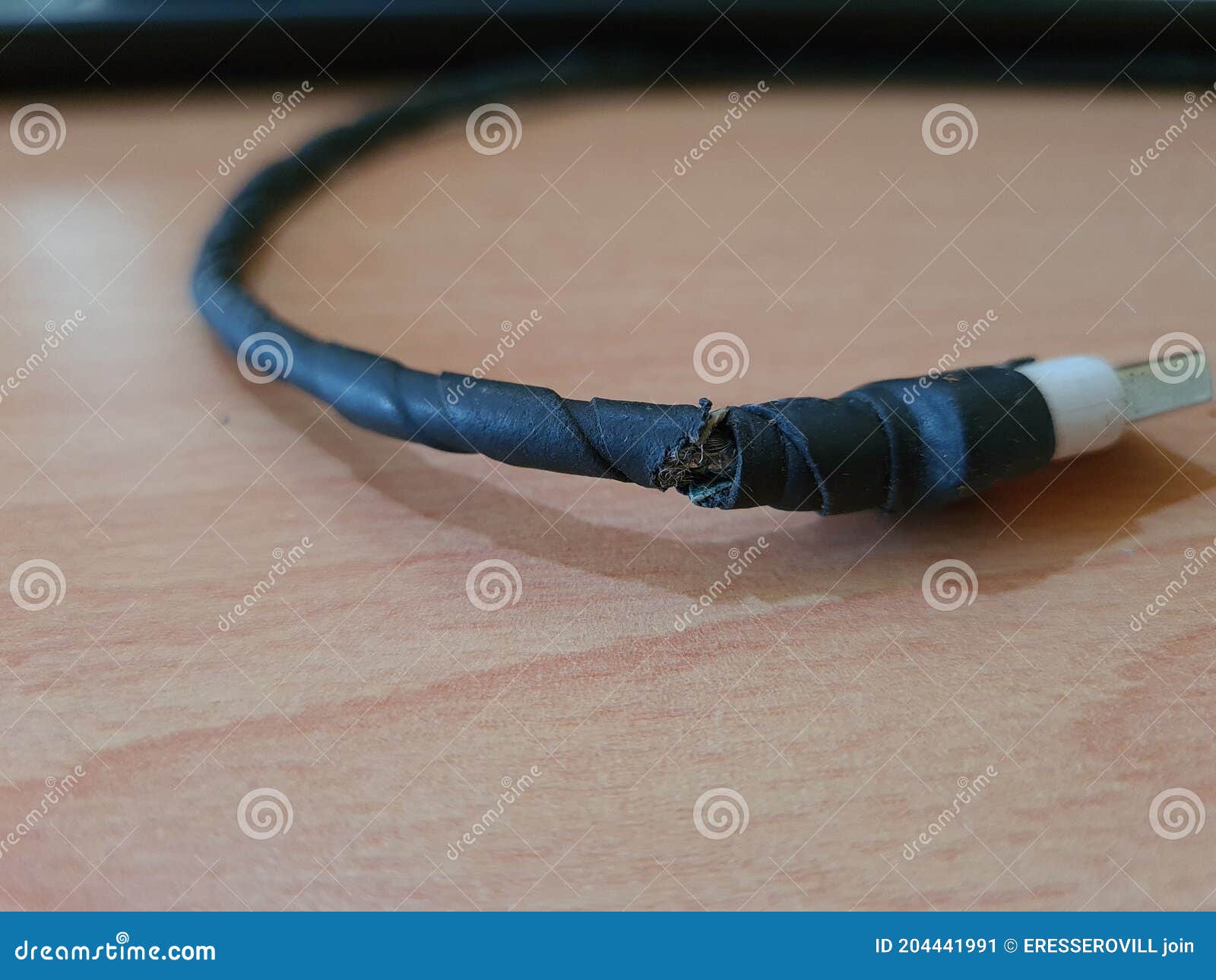 Broken cable bite by mice stock image. Image of bite - 204441991
