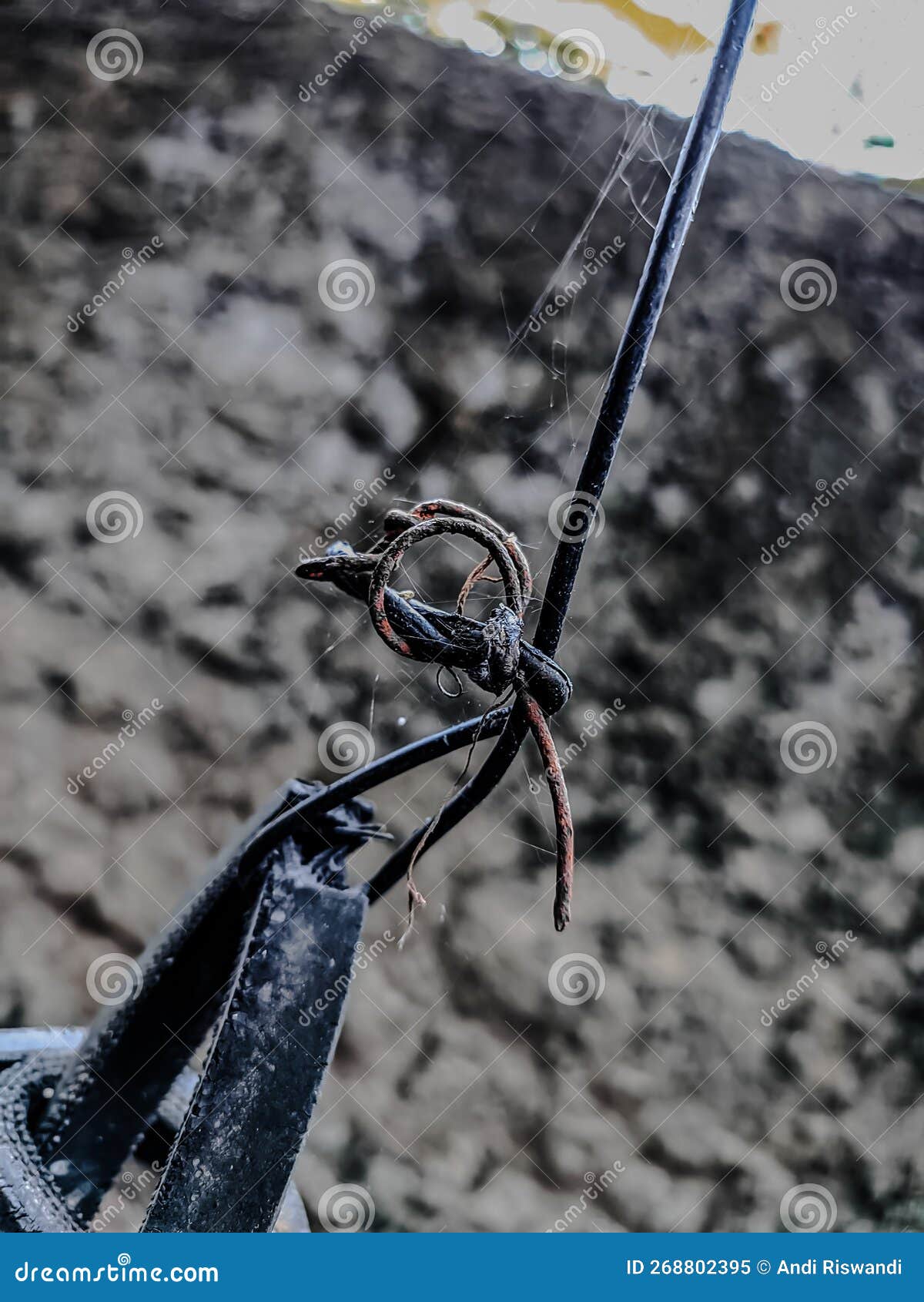 The Broken Cable Was Bitten by Rats Stock Image - Image of spider ...