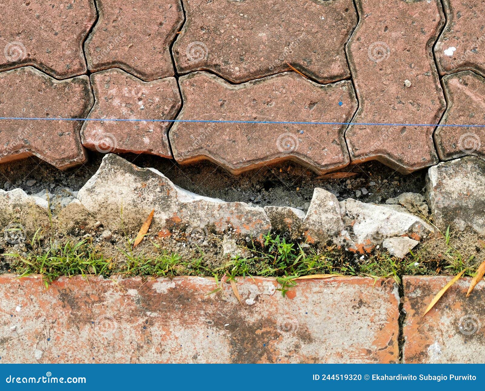 Broken Cement Paver Bricks Floor Pathway. Selective Focus Stock Photo ...