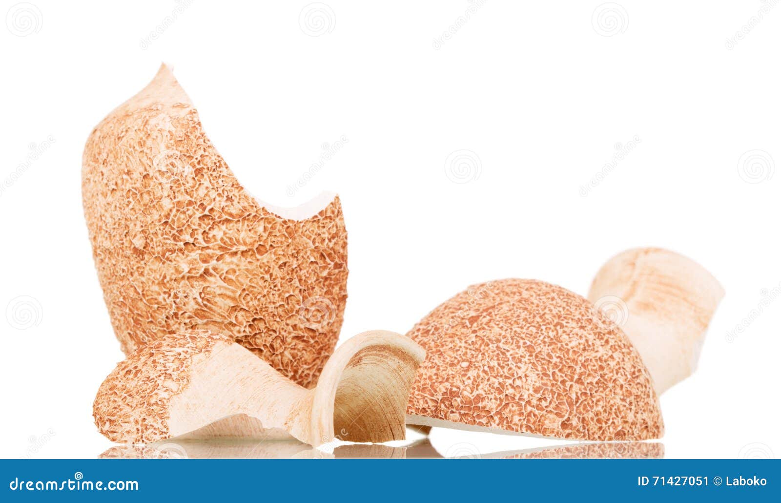 Broken Ceramic Vase Isolated on a White Stock Image - Image of damaged ...