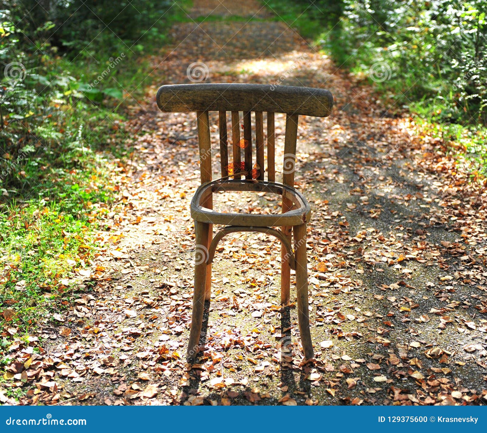Broken Chair on the Road in Forest Stock Photo - Image of outside ...