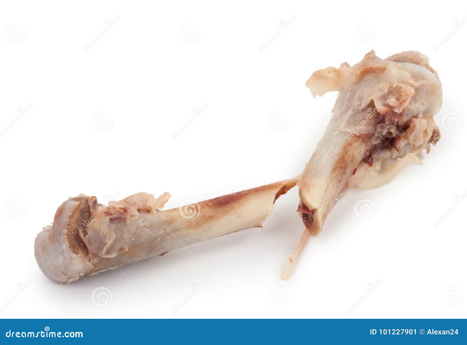 Broken Chicken White Egg With Soft Shadow As New Life Image Stock ...